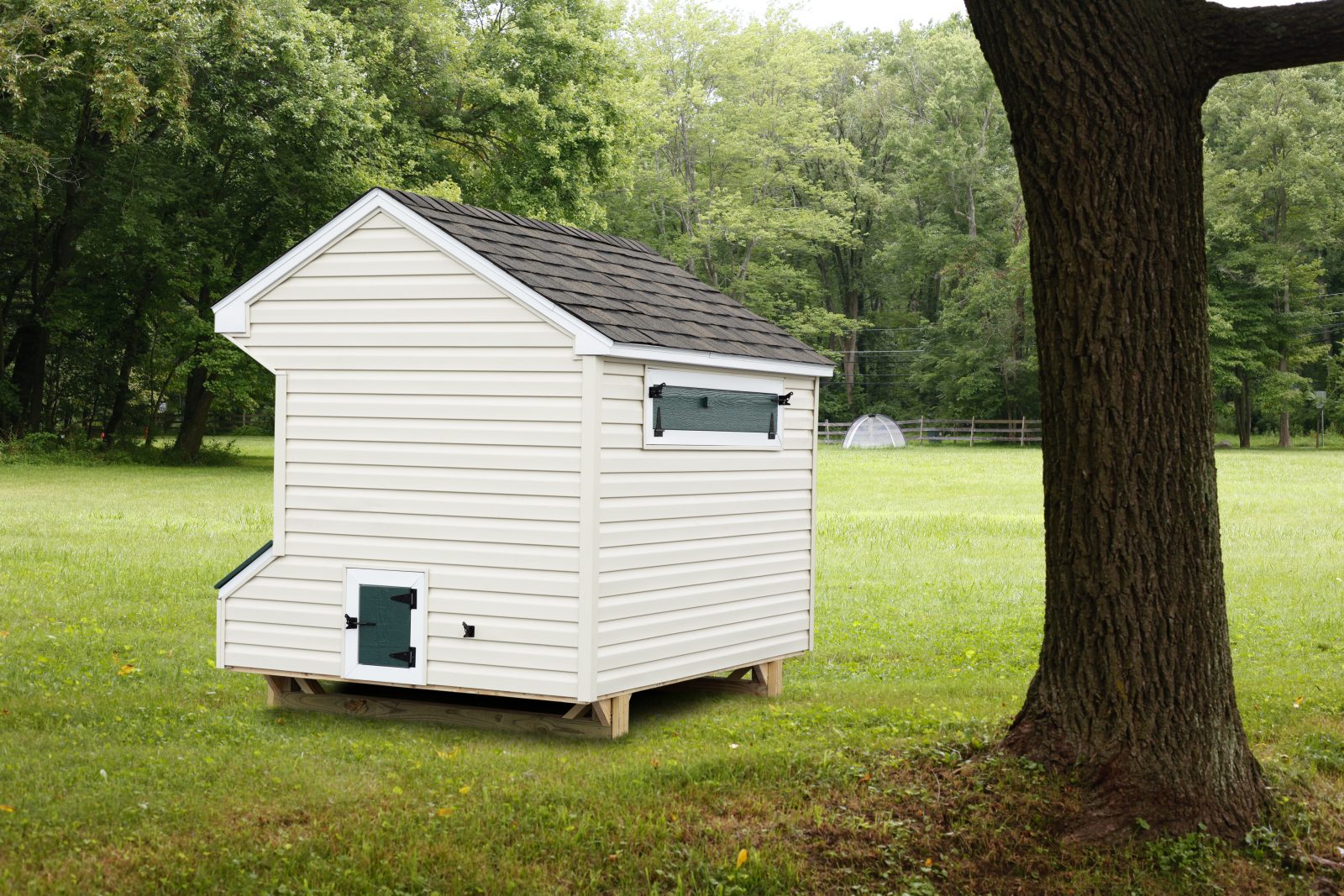 Prefab Chicken Coops | Buy a Chicken House for Your Chickens