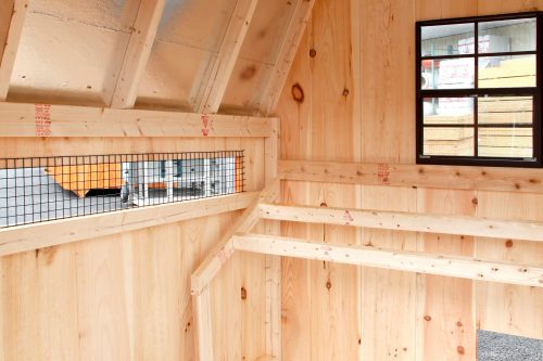 Barn Style Chicken Coops | Buy a Cute Coop for Your Chickens