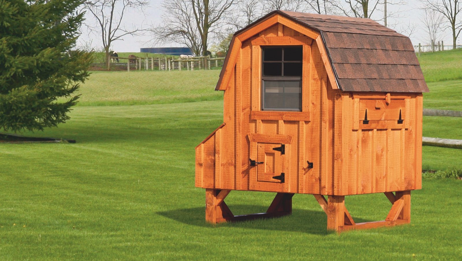 Barn Style Chicken Coops | Buy a Cute Coop for Your Chickens